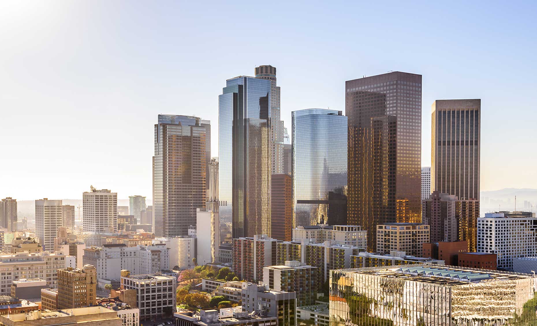 Skyscrapers - Bienvenue à la Capite